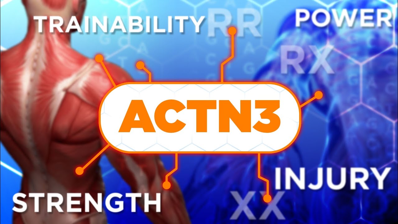 ACTN3: The Gene That COULD Make Or Break Your Training - YouTube