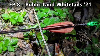 Deer Hunts | Shane Simpson Hunting