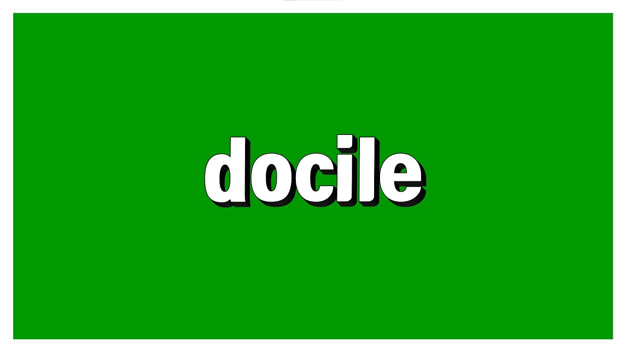 docile: 다루기 쉬운, 가르치기 쉬운, 온순한, 고분고분한 - YouTube