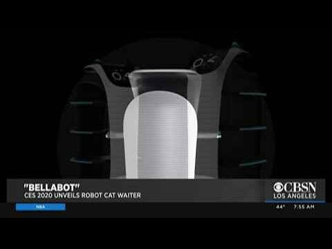 Robot Cat BellaBot Waits Purrs As It Waits On Restaurant Customers ...