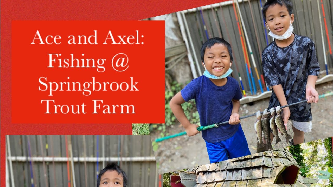 Ace and Axel: First Time Fishing @ Springbrook Trout Farm - YouTube