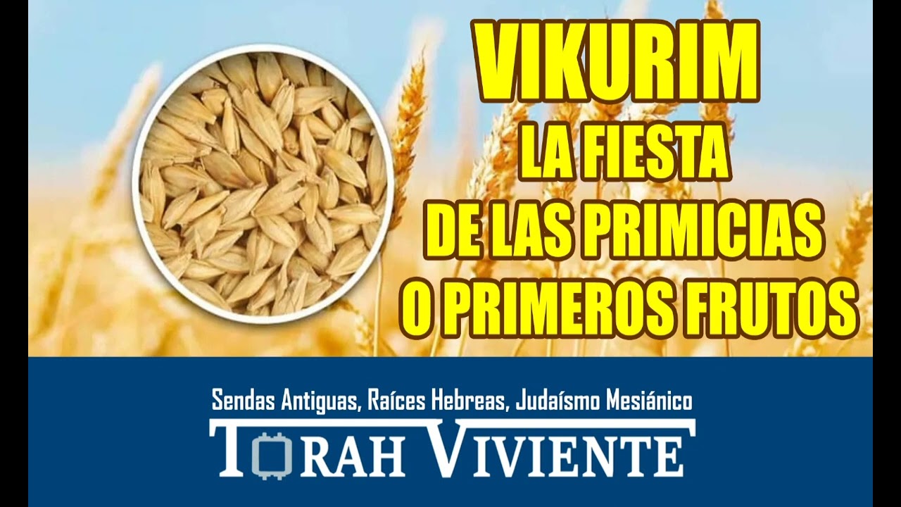 BIKURIM / LA FIESTA DE LAS PRIMICIAS O PRIMEROS FRUTOS - YouTube