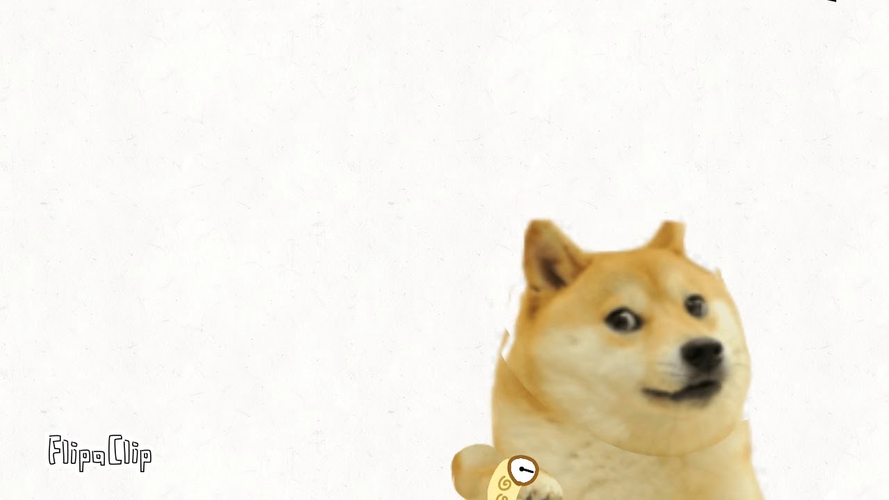 Doge sassy boi - YouTube