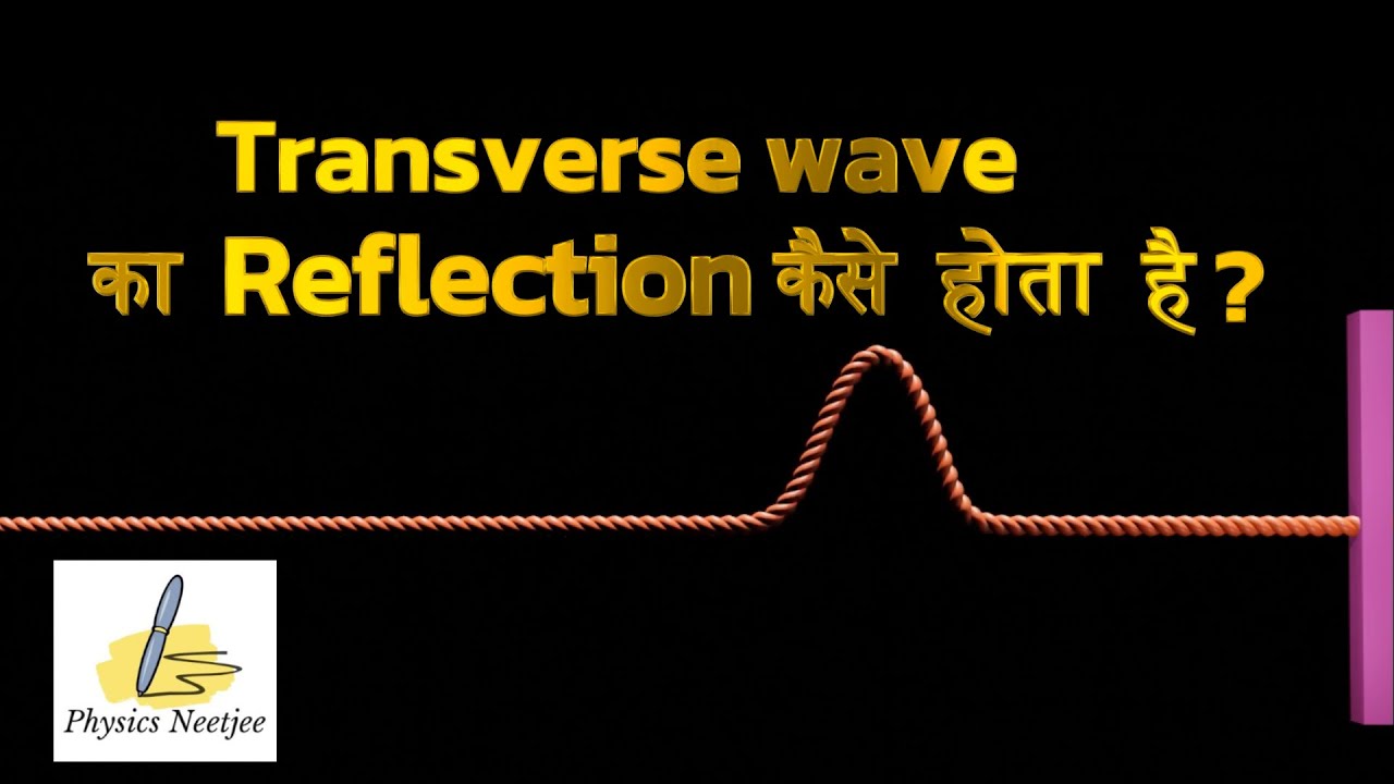 Reflection Of Transverse Wave II Waves II Physics NeetJee YouTube Reflection Of Transverse Wave II Waves II Physics NeetJee YouTube