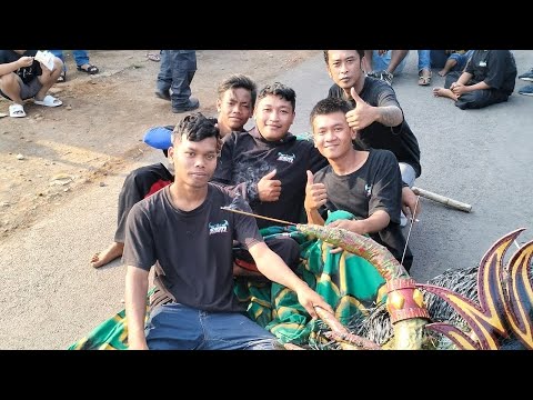 Jinggle SATRIO SINGO MUNAMBAR FEAT MAS HEN REVOLUTION - CINTA MERAH ...