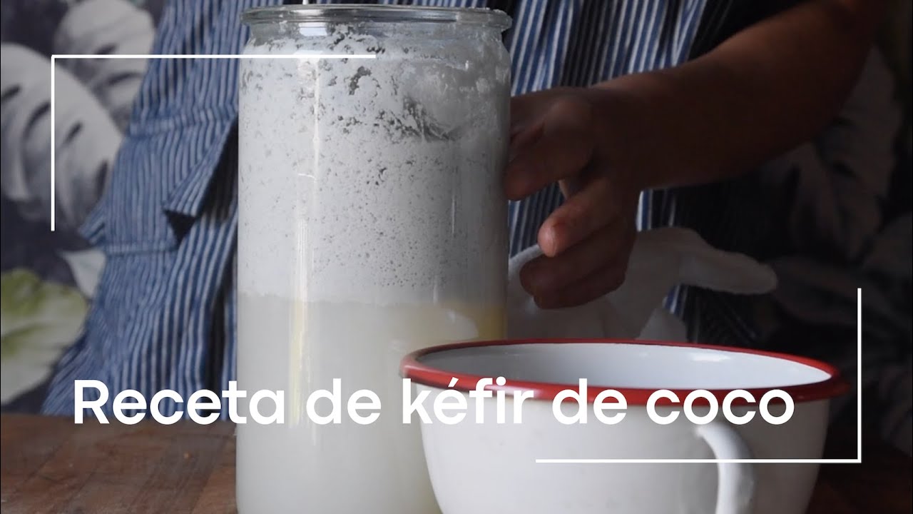 Receta de kefir de coco, probiótico, vegano y delicioso - YouTube