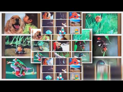 (YTPMV) 9 Neighborhood Animals Music Videos Playing At The Same Time Scan