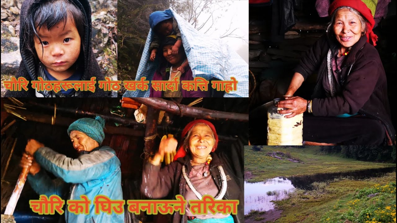 How to make himalayan local cows milk for butter Traditional Himalayan ...