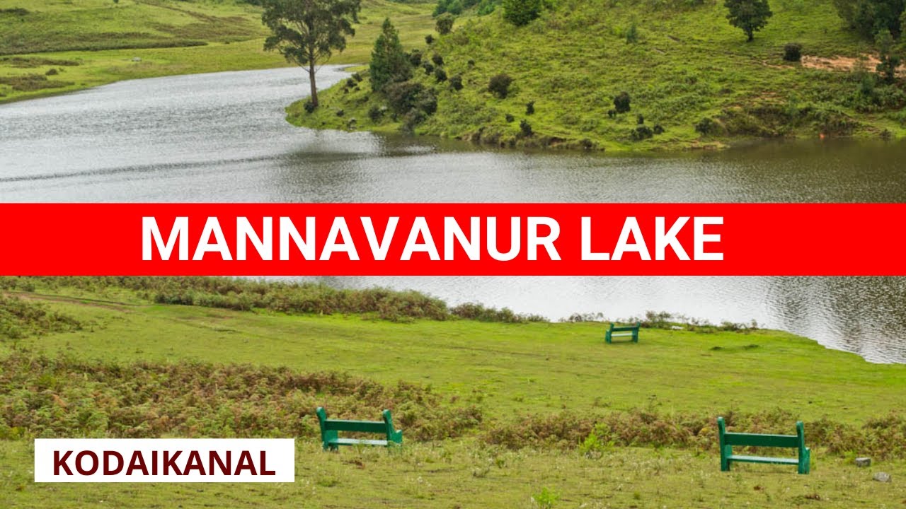 Mannavanur Lake, Kodaikanal: A Serene Oasis of Tranquility - YouTube