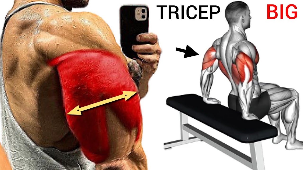 5 Bigger Exercises to Grow Your Tricep Muscles - YouTube