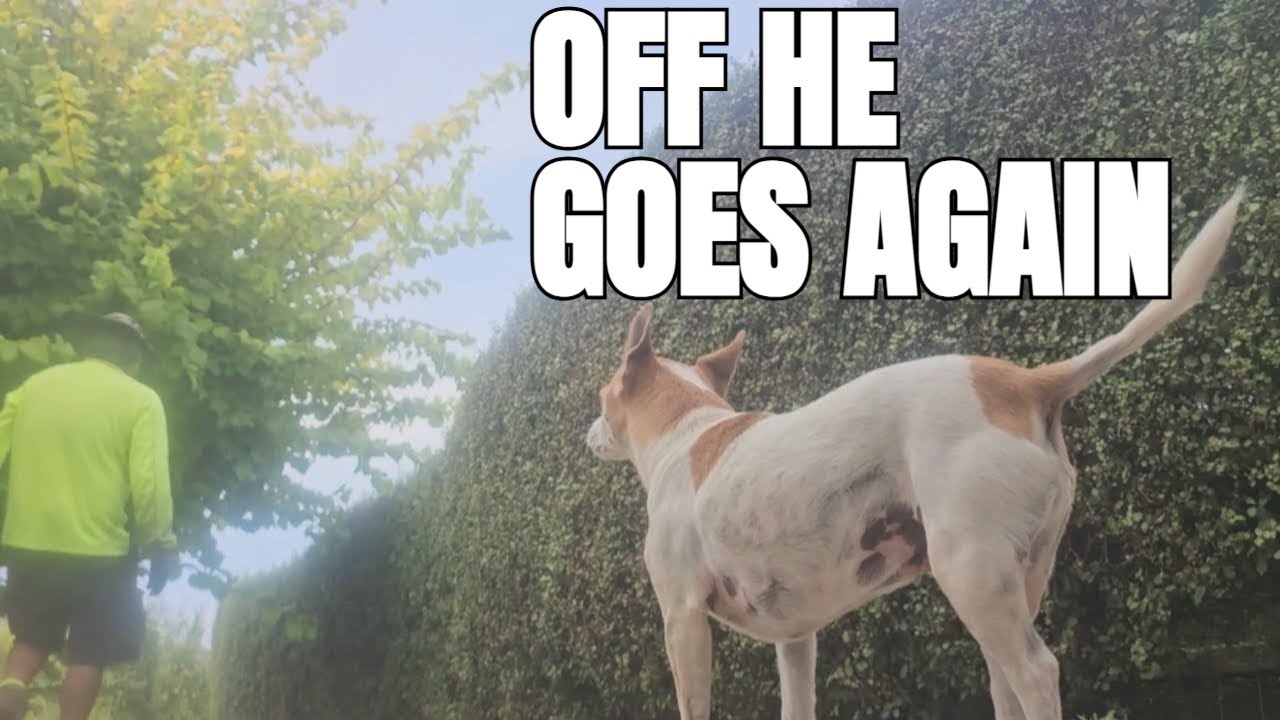 What Happens When You Spend 11 Hours Doing EXTREME Yard Work? - YouTube