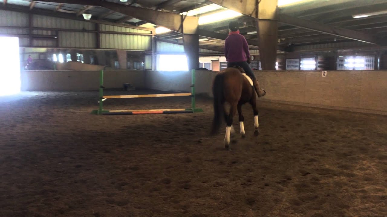 Cotton Moon - for sale - YouTube