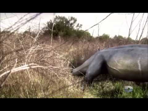 Megalania The Giant Ripper Lizard - YouTube