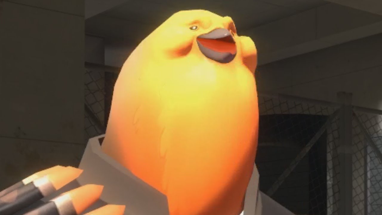 RED Heavy Birb Laughing - YouTube