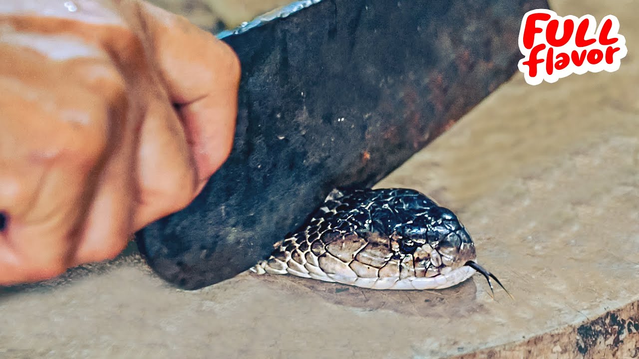 COOKING COBRA & Snake Blood |Thailand Street Food | สเต็ก งูเห่า ร้าน ...