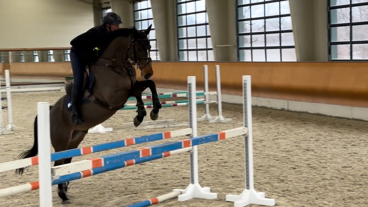 Luke 140 - Syndicate Update -Jan ‘25 - YouTube