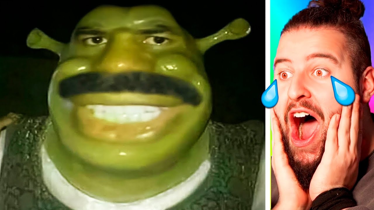 MEMES QUE DAN RISA 🤣 - YouTube