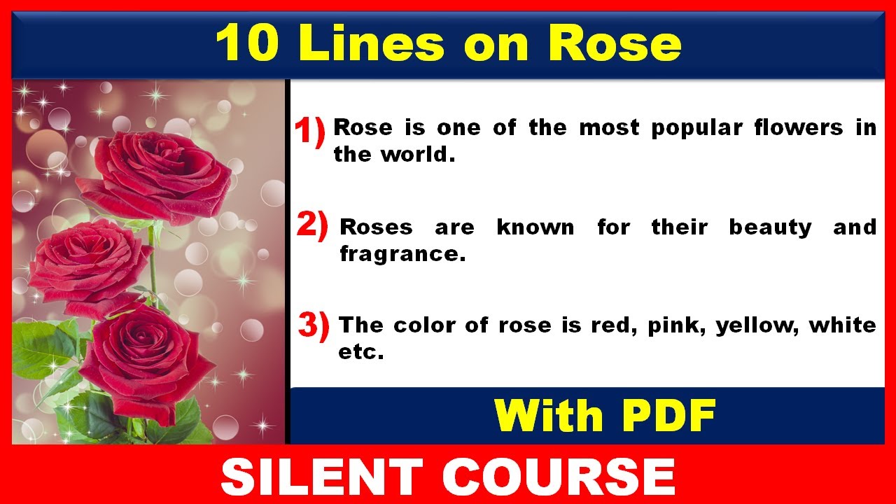 10 Lines on Rose Flower | Few Lines about Rose Flower In English | Few ...