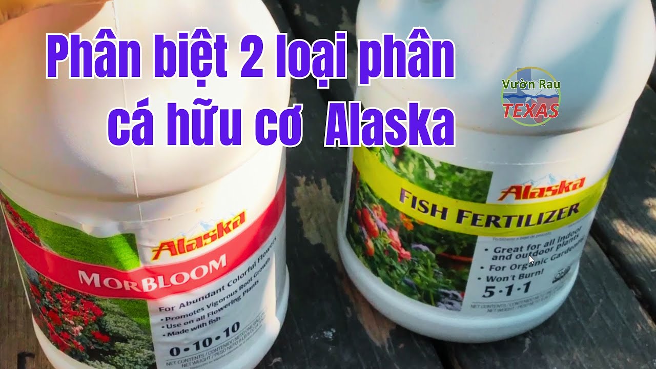 Phân biệt 2 loại phân cá hữu cơ Fish Fertilizer và Morbloom của hãng ...