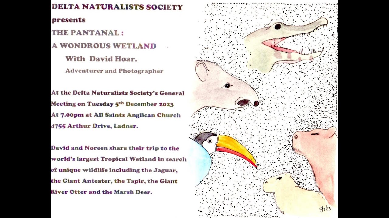 2023-12-05 The Pantanal: A Wondrous Wetland, by David Hoar - YouTube