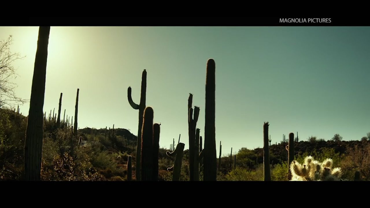 'Lucky' cast and crew remember Harry Dean Stanton - YouTube