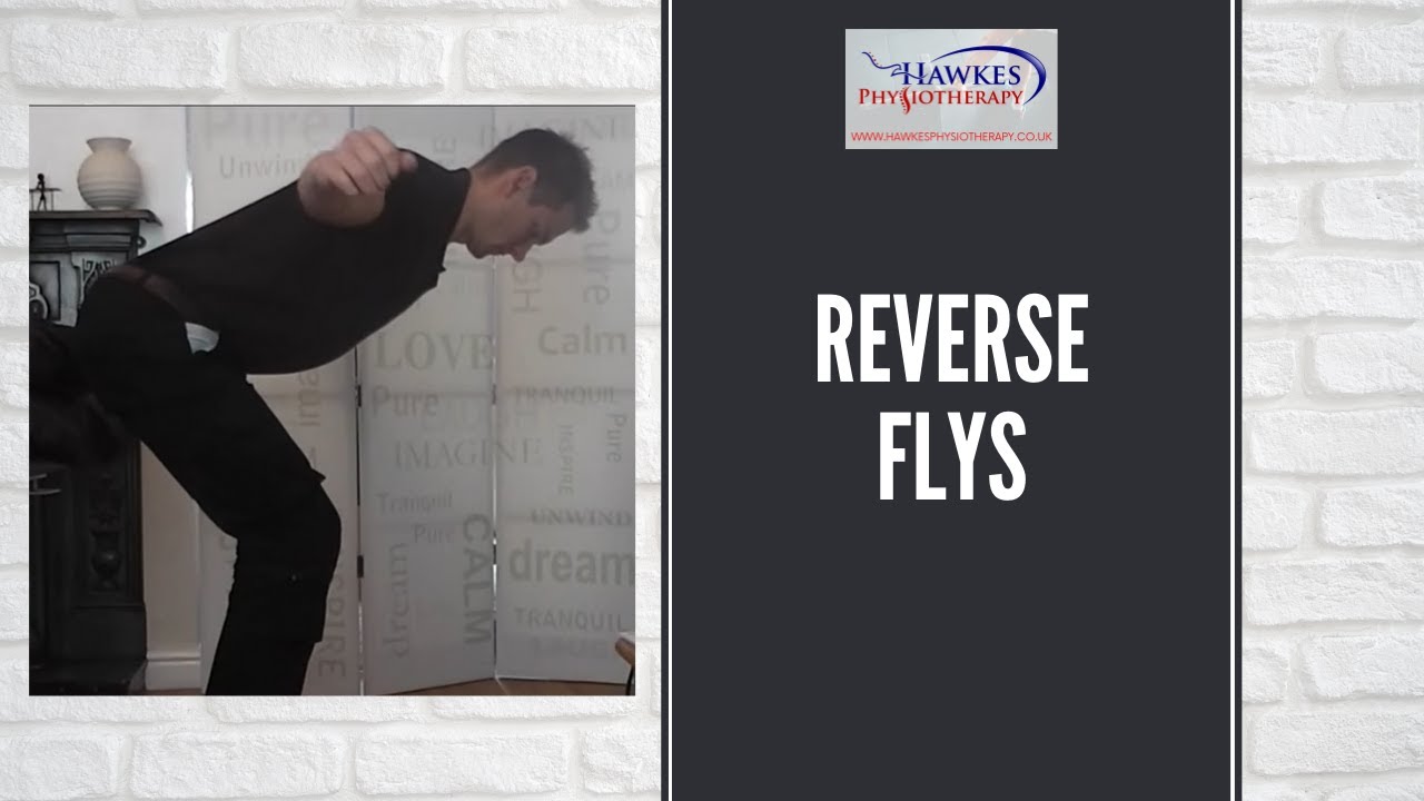Reverse flys: Great for strengthening your middle & lower traps - YouTube