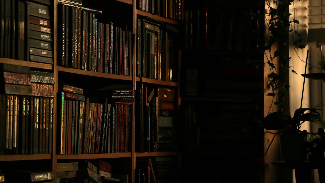 last day of summer, 1994: no phones, just books and sunrays. - YouTube