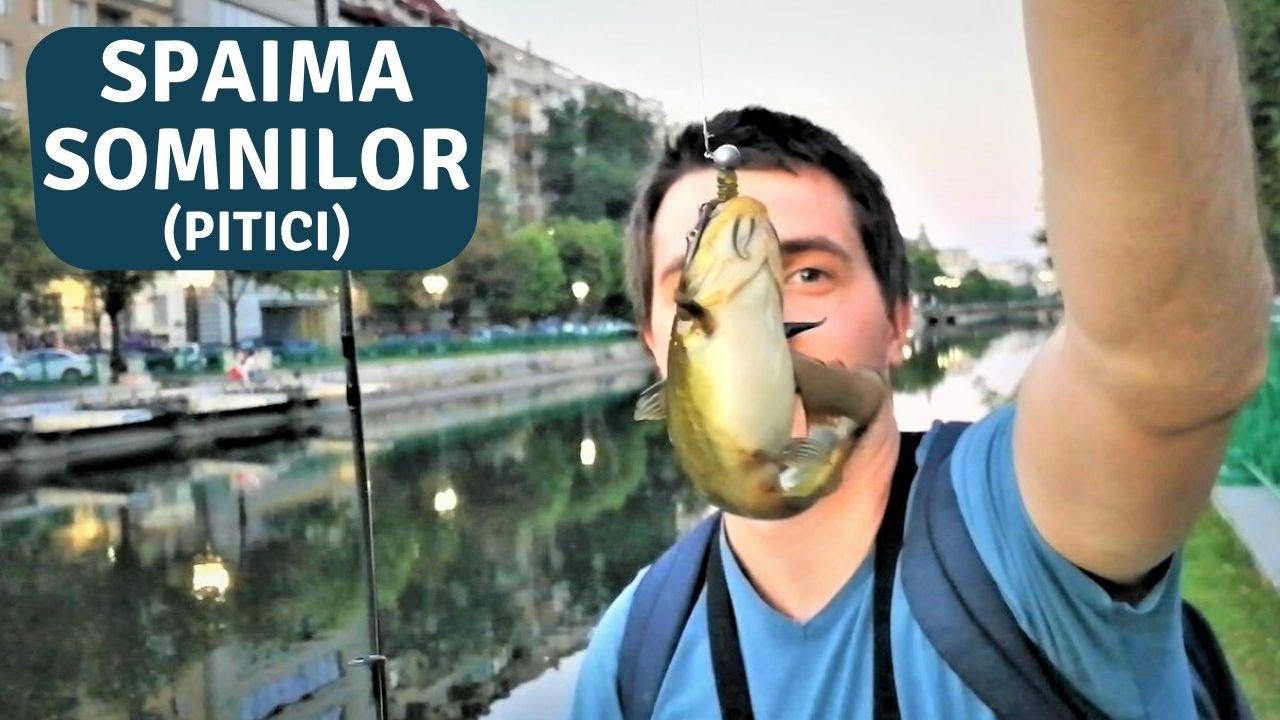 PESCUIT la BIBAN cu MIHAI MOGA (Iulie 2020) - YouTube