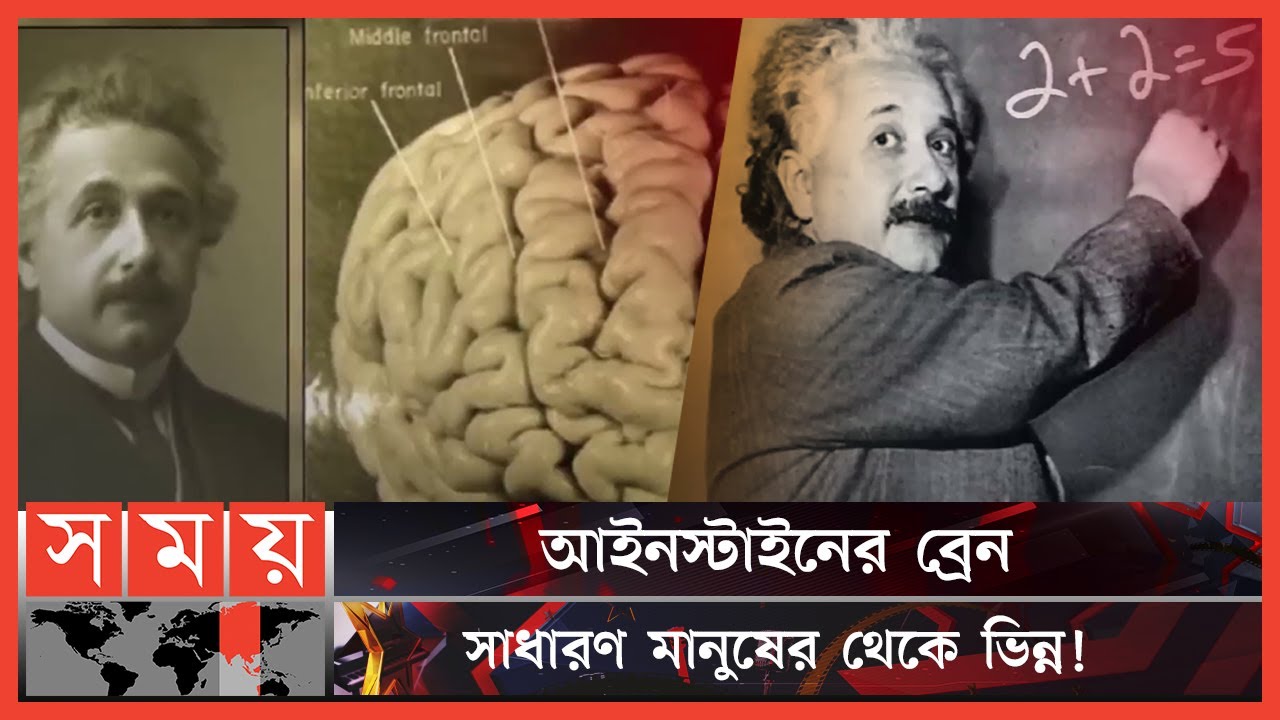 কেন আইনস্টাইনের মস্তিষ্ক এতটা মূল্যবান? | Albert Einstein | Thomas ...