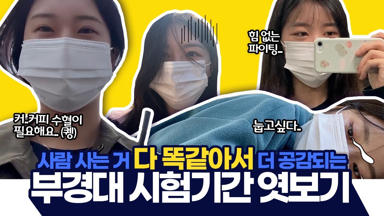 자이로tv 허겁지겁 커피 수혈 쉬려고 다섯끼 먹기 당 충전 500회 그저 눕기 사람 사는 거 다 똑같다 부경대 시험기간 엿보기 Youtube