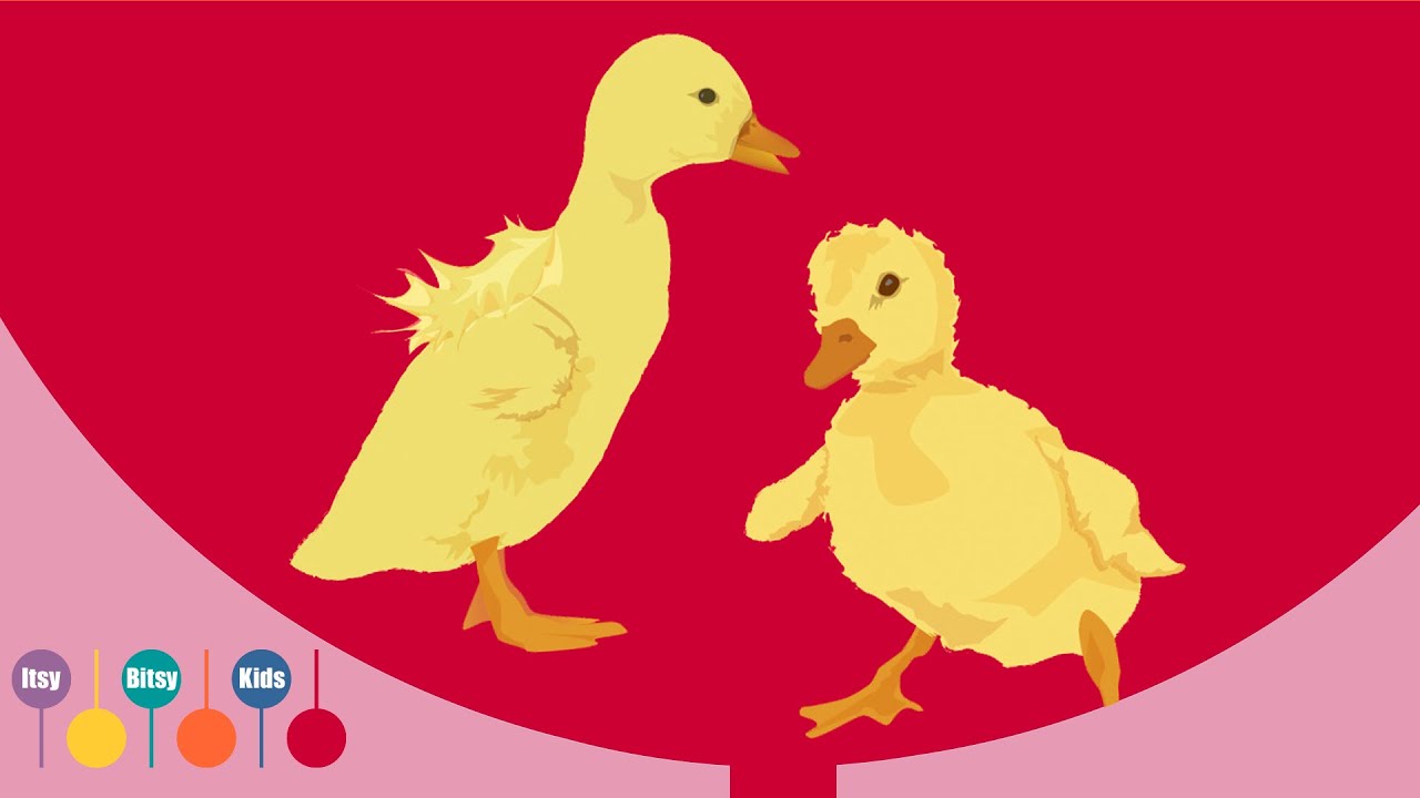 Six little Ducks - Nursery Rhyme | ItsyBitsyKids (With Lyrics) - YouTube