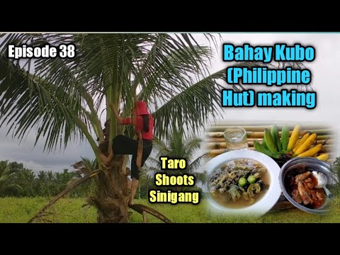 Bahay Kubo (Philippine Hut) | Taro Leaves Recipe | Countryside life ...
