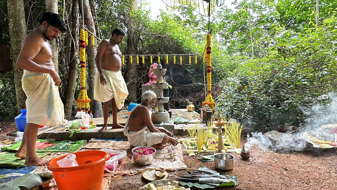 Sarpa Kavu Pooja -09/June/2024 - Second Prathishta Varshikam - YouTube