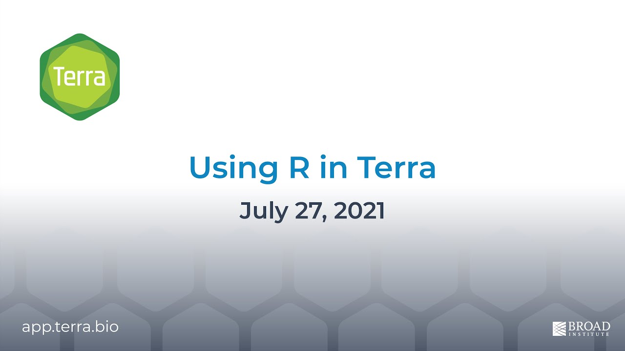 Using R in Terra - YouTube