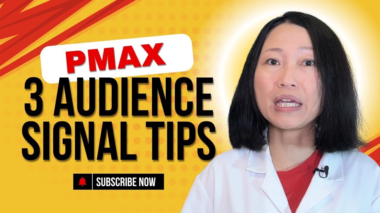 How to Improve PMax Targeting With These 3 Audience Signals Tips - YouTube