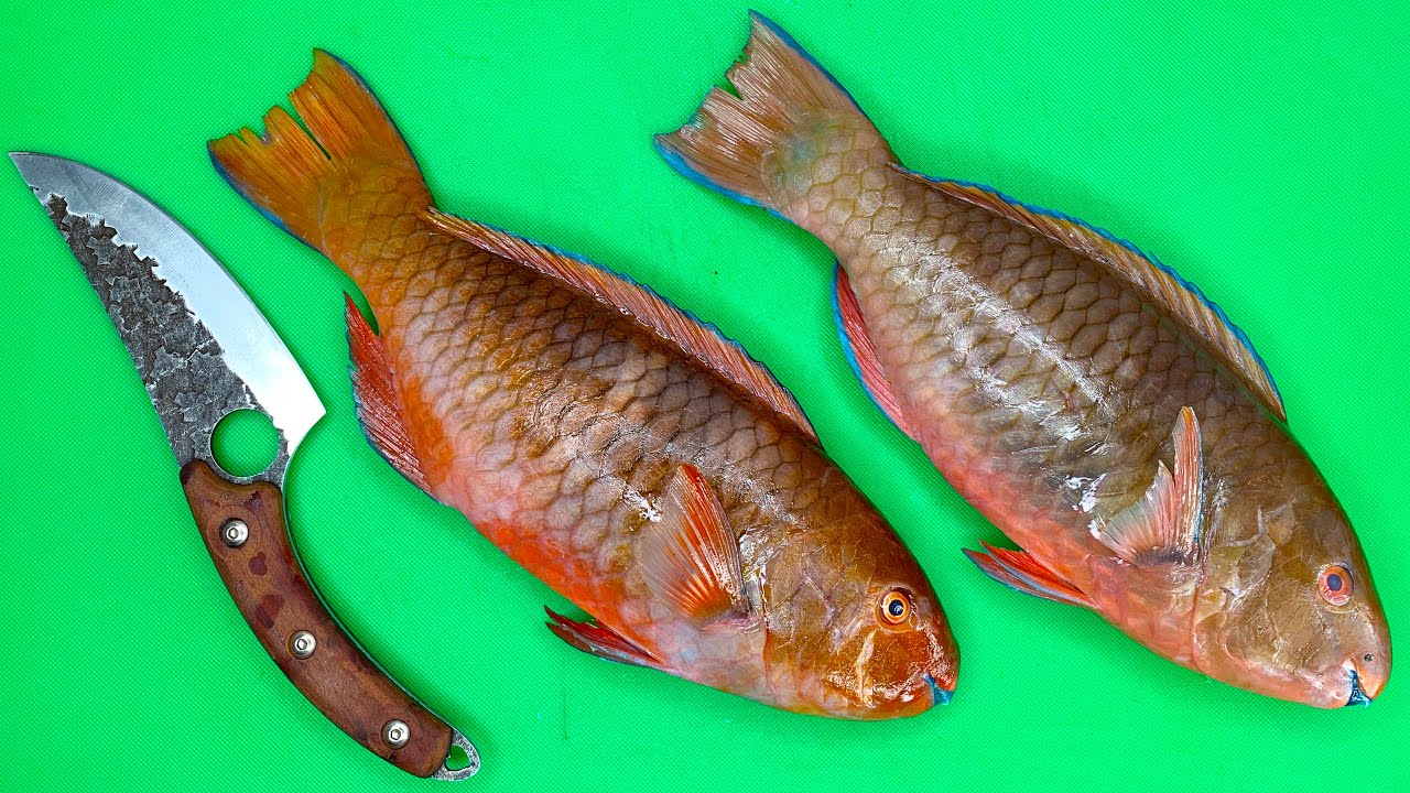 RAINBOW PARROT FISH || CLEAN & COOK || RAINBOW PARROT FISH Recipe - YouTube