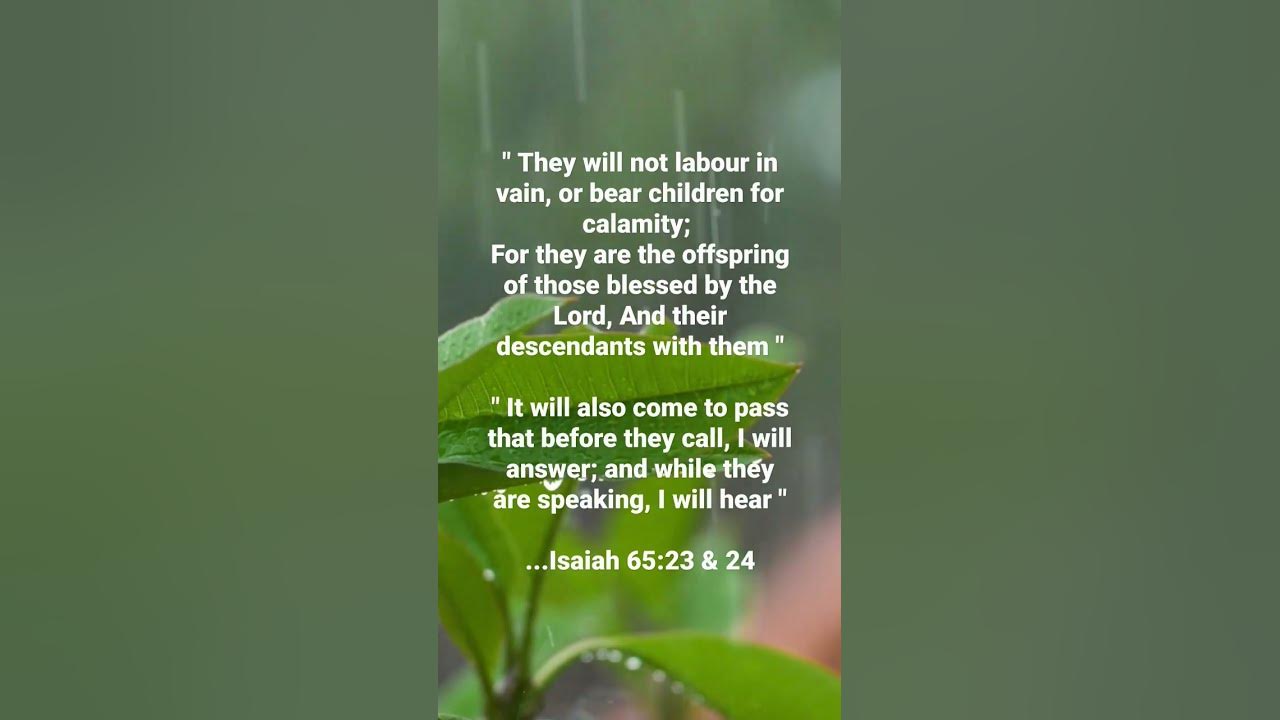 Reassuring Quotes YouTube reassuring-quotes-youtube