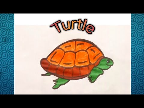 |How to draw a turtle|Turtle drawing for kids|Easy turtle drawing ...