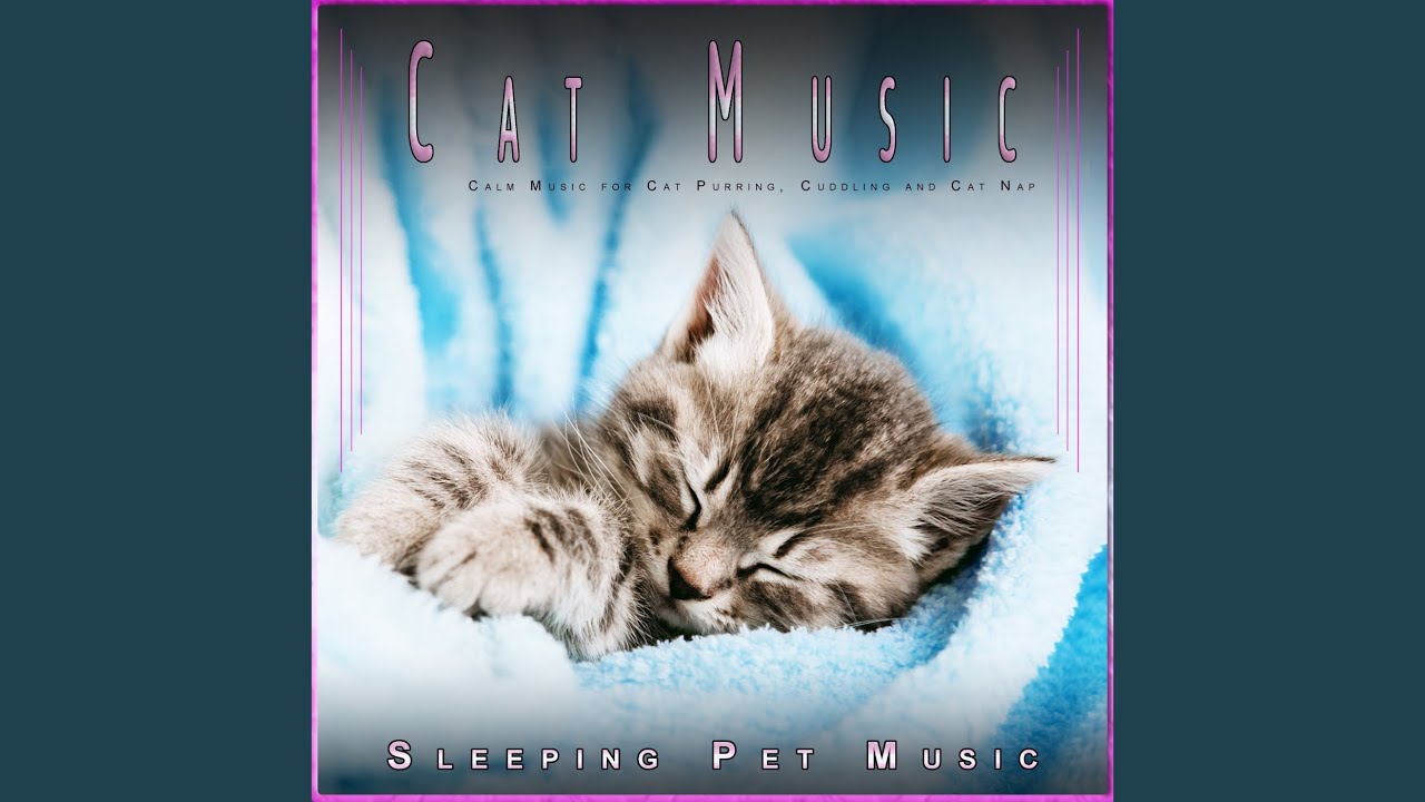 Soothing Relaxing Cat Music - YouTube Music