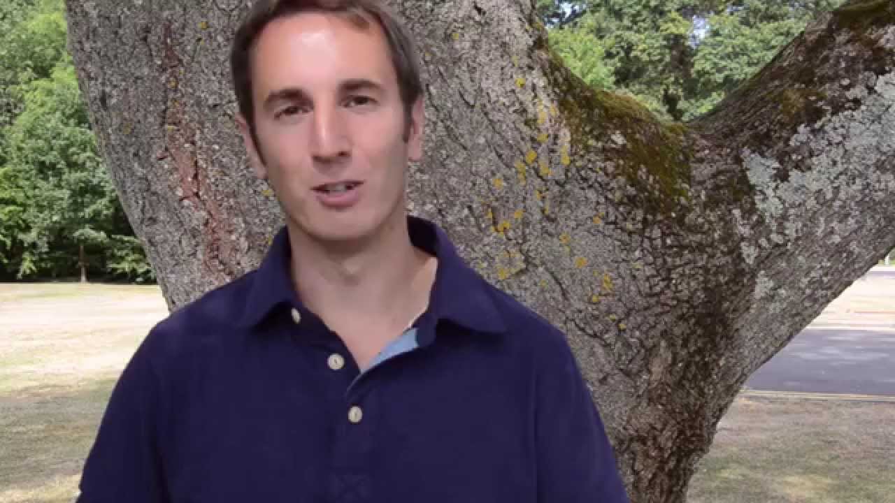 Dr Fraser Sturt discusses his favourite Submerged Landscape - YouTube