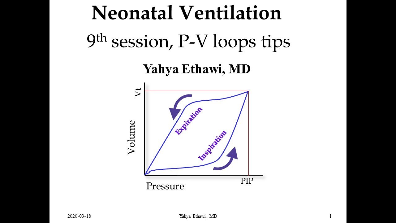 Neonatal ventilation, 9th session, P-V loop tips - YouTube