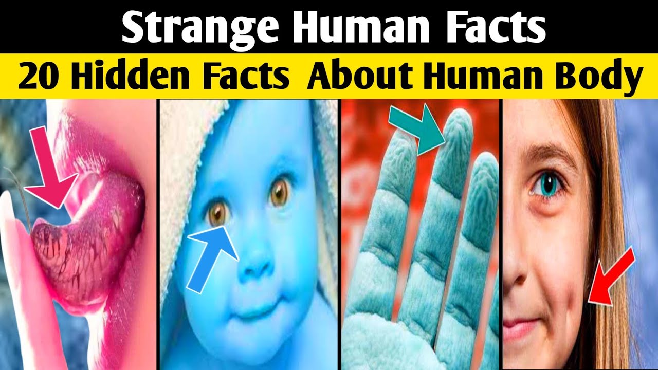 Strange Facts About Human Body || Mr Mudassar || 20 Hidden Facts about ...