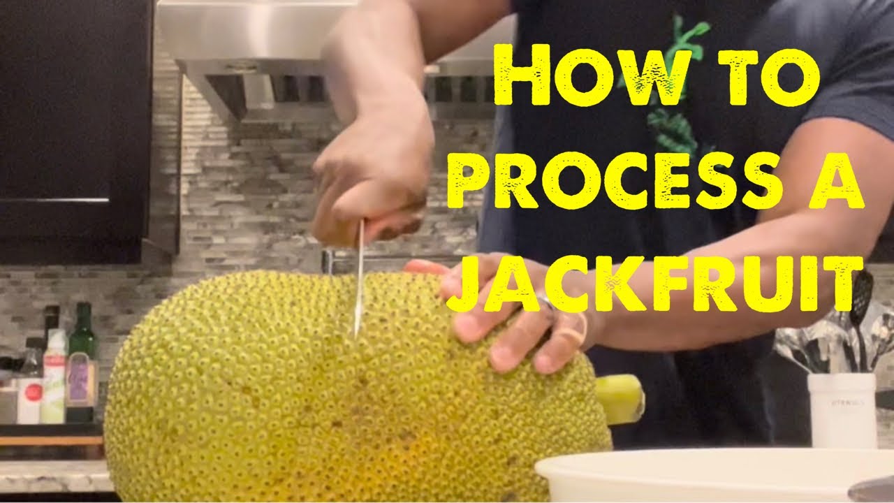 How to process a jackfruit #andrethefarmer - YouTube