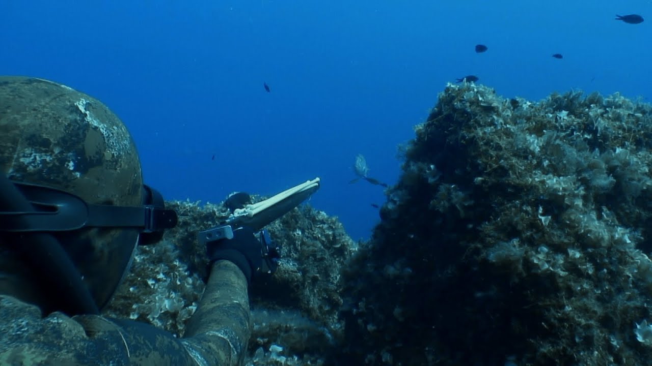 SPEARFISHING DOCUMENTARY TA THIRAMATA & TA MISTIKA TOYS - THE DENTEX (H ...