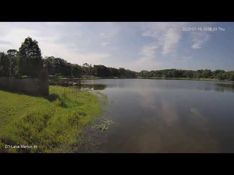 Lake Marion - Just a View of the lake - YouTube