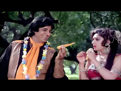 गाजर हैं लोगी क्या 😂 - अमिताभ जबरदस्त कॉमेडी | Meenakshi Seshadri | Toofan | Bollywood Hindi Movie