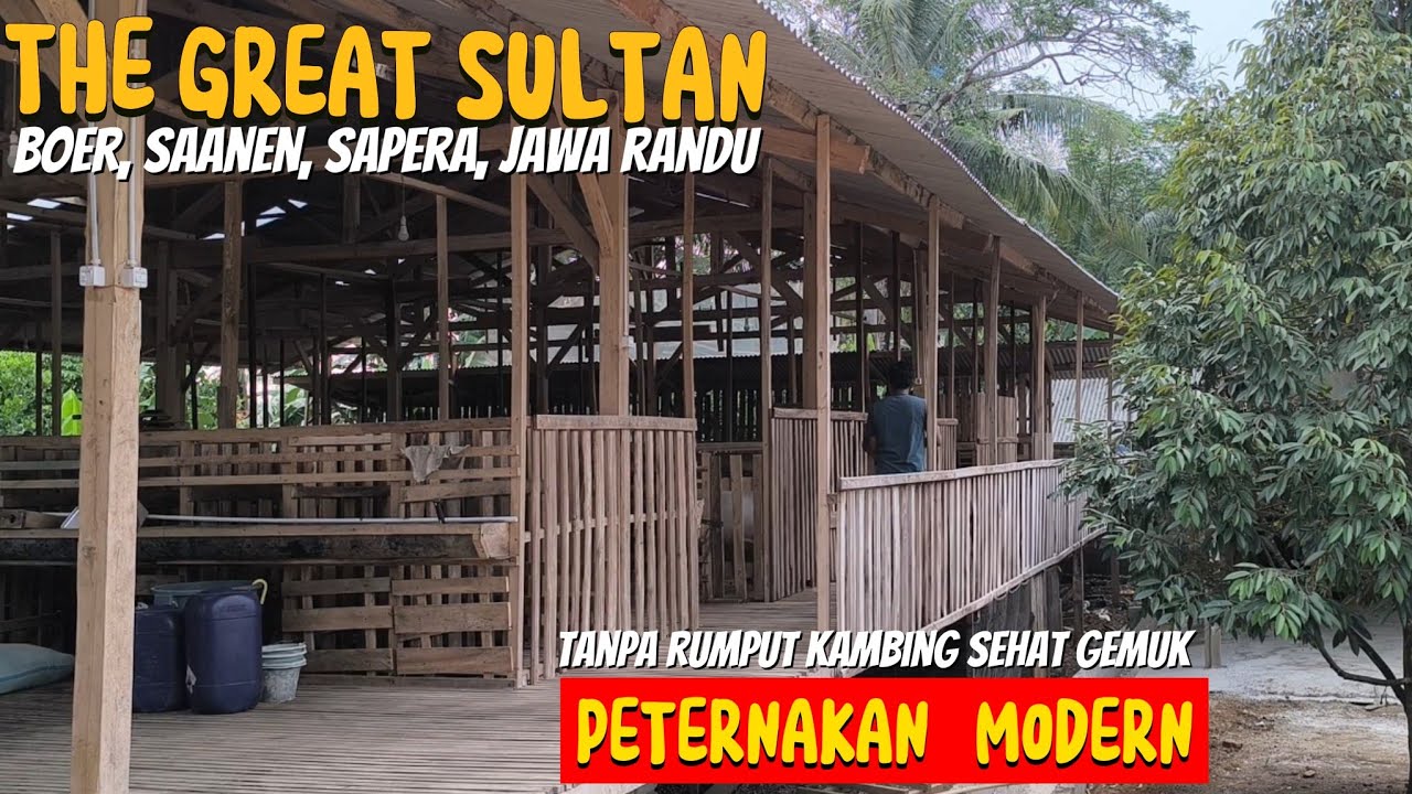KOHAR FARM: PETERNAKAN KAMBING MODERN boer, saanen, sapera dan Jawa ...