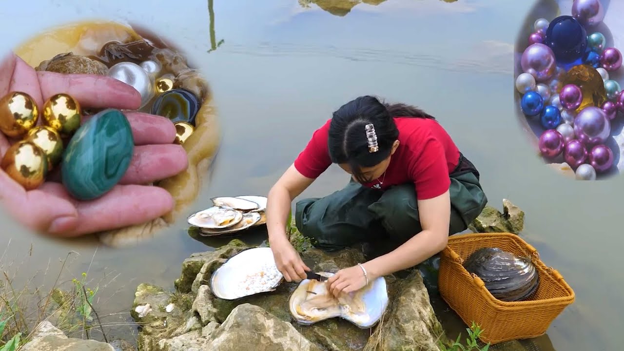 The girl accidentally excavated a valuable river clam pearl while ...