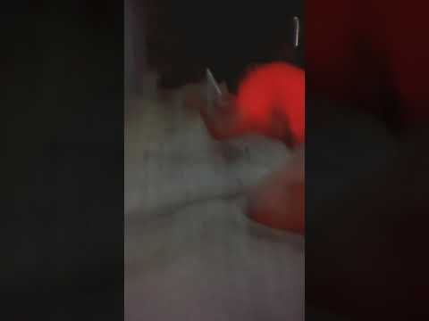 Kids Jaman Now Akibat Pil Pcc Baru Kelas 6 SD ... Jangan Ditiru Kelakuannya