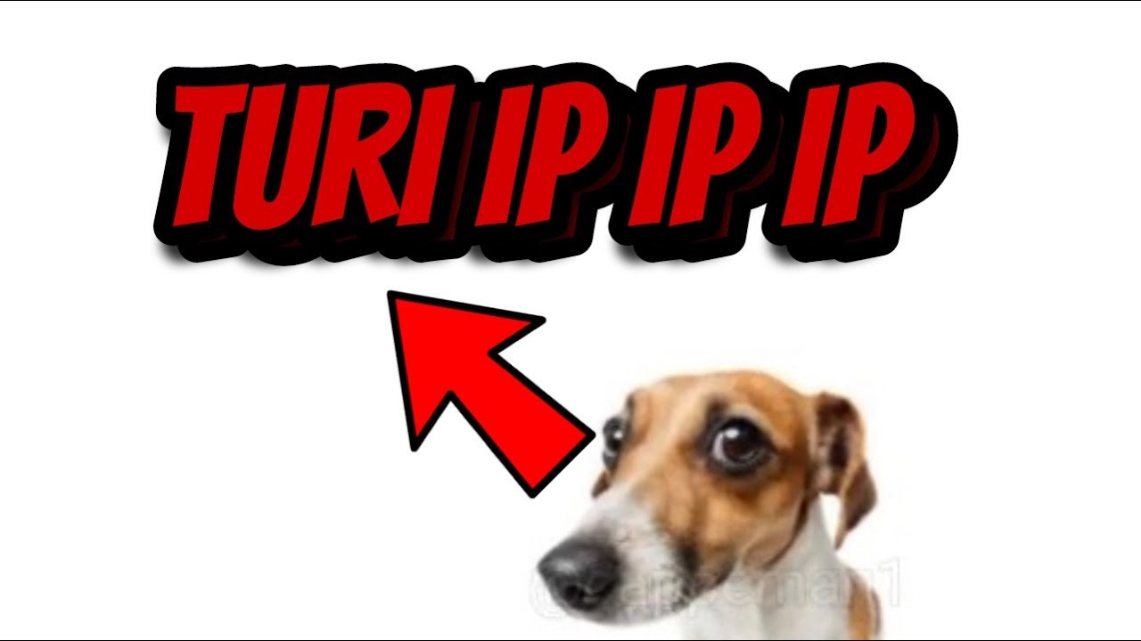 TURI IP IP IP MEME / TikTok Trends / DOG - YouTube